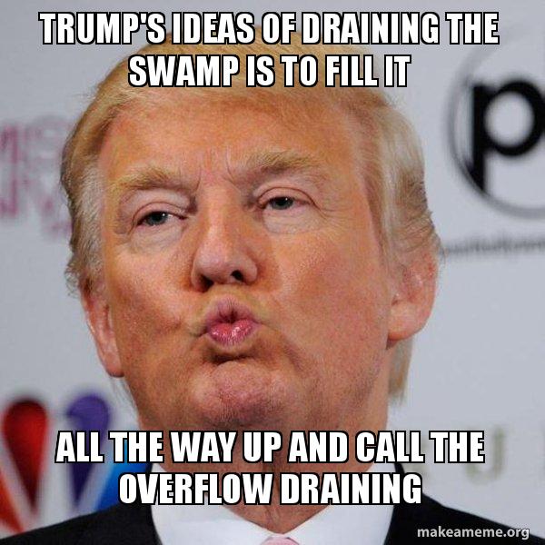 Trump's ideas of draining the swamp is to fill it all the way up and ...