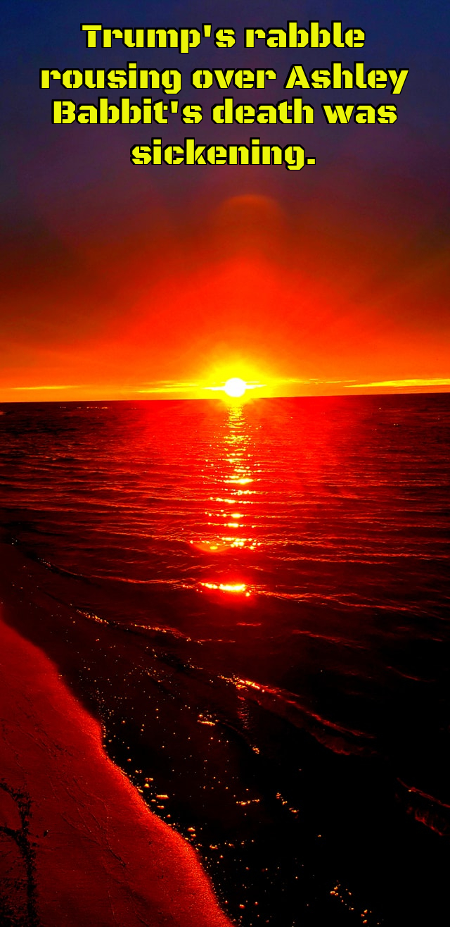 Trump's rabble rousing over Ashley Babbit's death was sickening. Meme ...