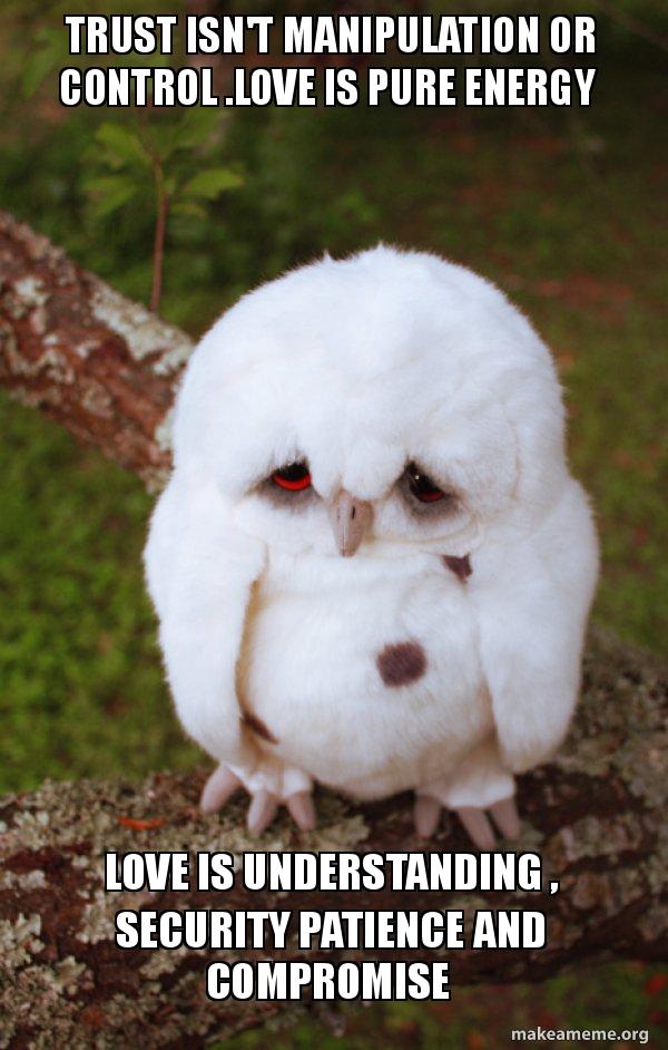 Memes About Manipulation Europe Worries As Facebook Fights