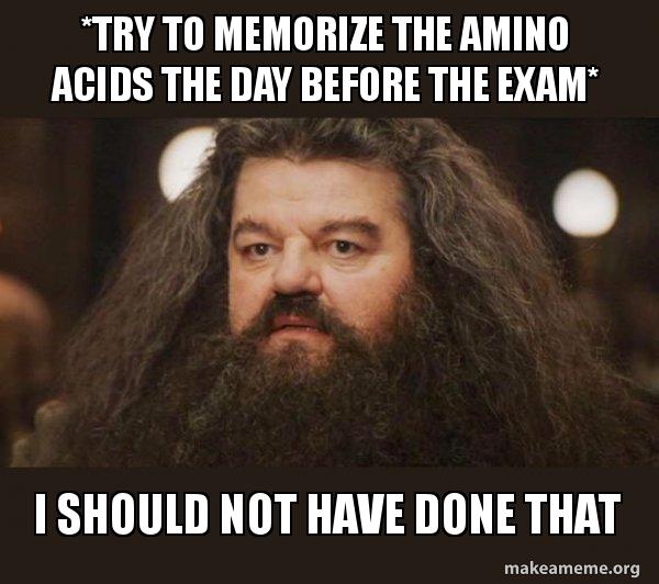 Amino Acid Memes Conserved Motifs Analysis Using The MEME (version