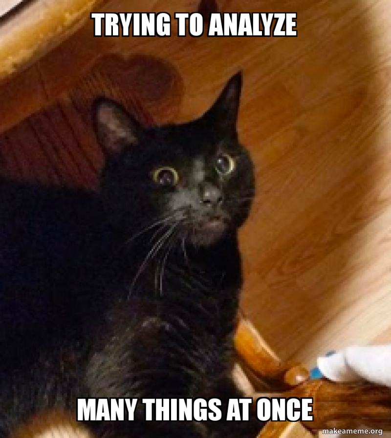 trying to analyze many things at once Meme Generator