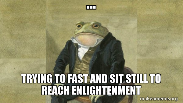 Trying to fast and sit still to reach enlightenment - Colonel Toad Meme ...