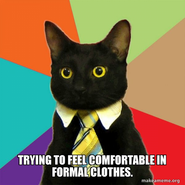 Trying to feel comfortable in formal clothes. - Business Cat Meme Generator