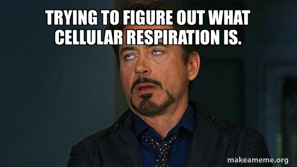 Trying to figure out what Cellular Respiration is. - Tony Stark Eye ...