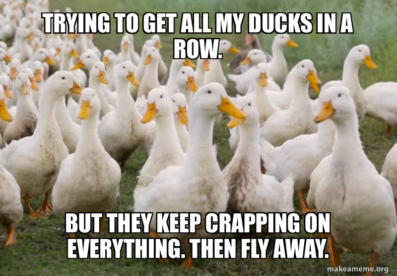 Trying to get all my ducks in a row. But they keep crapping on ...