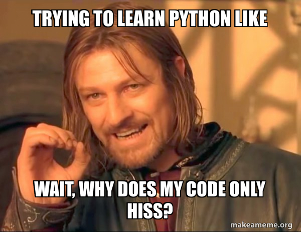 Trying to learn Python like Wait, why does my code only hiss? - One ...