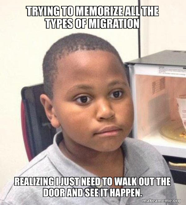 Trying to memorize all the types of migration Realizing I just need to ...