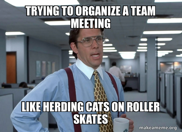 Trying to organize a team meeting Like herding cats on roller skates ...