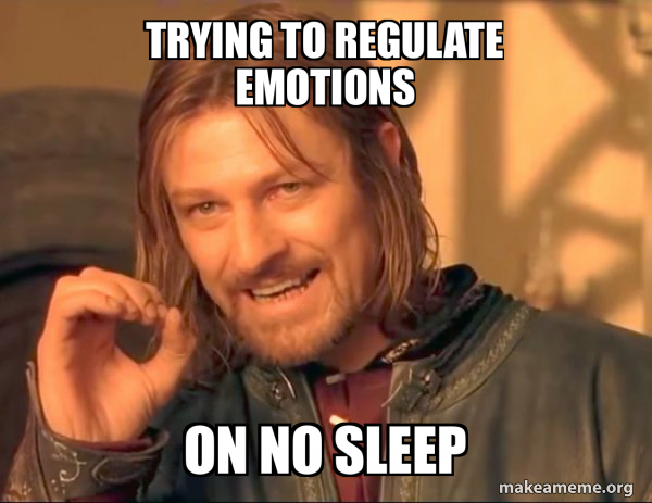 Trying to regulate emotions On no sleep - One Does Not Simply Meme ...