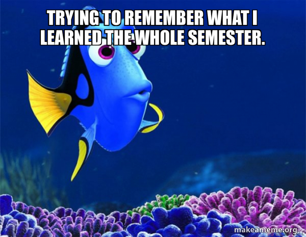Trying to remember what I learned the whole semester. - Dory from Nemo ...