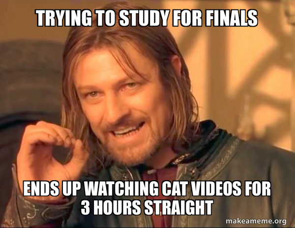 Trying to study for finals Ends up watching cat videos for 3 hours ...