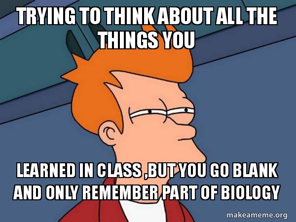 TRYING TO THINK ABOUT ALL THE THINGS YOU LEARNED IN CLASS ,BUT YOU GO ...