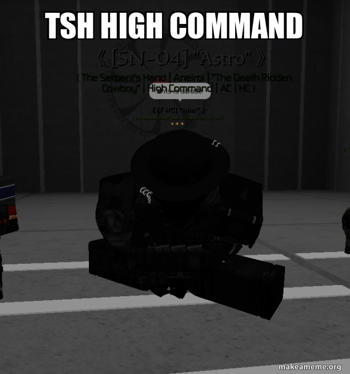 TSH HIGH command Meme Generator