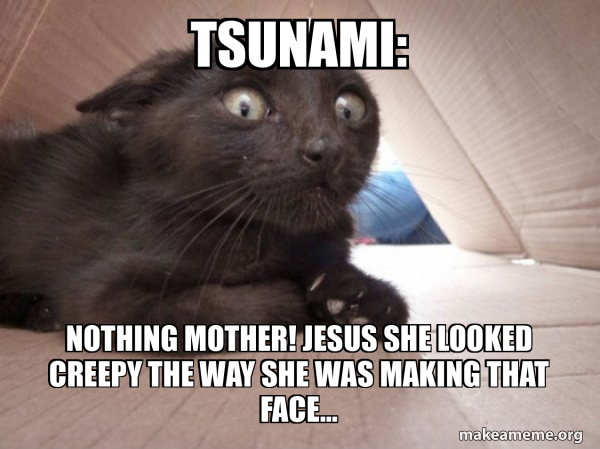 Tsunami: NOTHING MOTHER! Jesus she looked creepy the way she was making ...