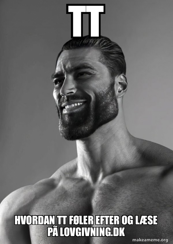 TT hvordan TT føler efter og læse på lovgivning.dk - Gigachad Meme ...