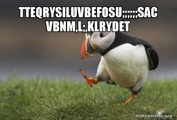 Tteqrysiluvbefosu;;;;;;sac vbnm,l;,klrydet - Unpopular Opinion Puffin ...