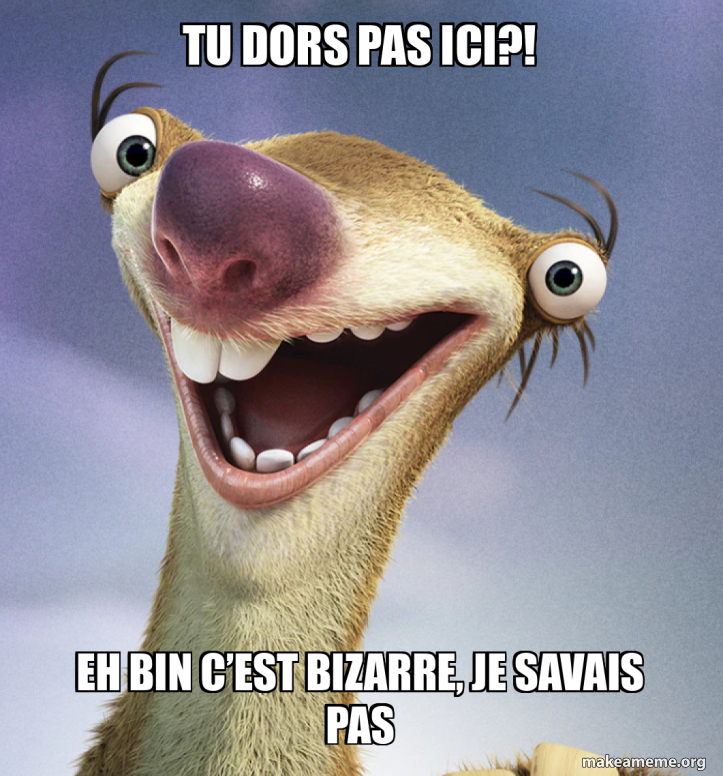 tu dors pas ici?! eh bin c’est bizarre, je savais pas Meme Generator