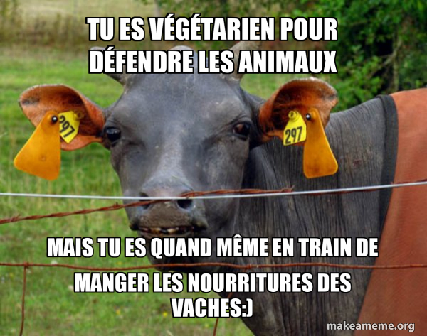 Tu es végétarien pour défendre les animaux Mais tu es quand même en ...