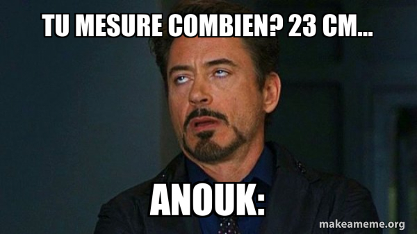 Tu mesure combien? 23 cm... Anouk: - Tony Stark Eye Roll Meme Generator