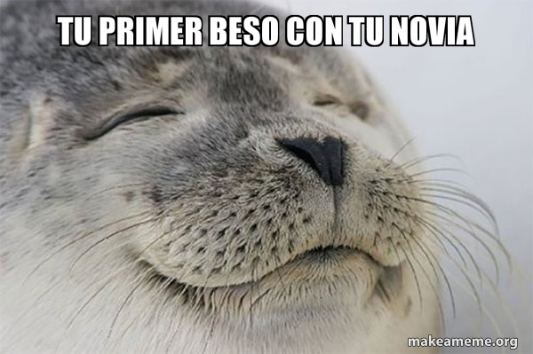 tu primer beso con tu novia - Satisfied Seal Meme Generator