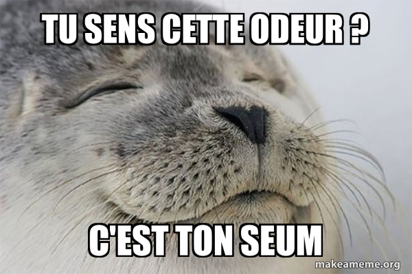 Tu sens cette odeur ? C'est ton seum - Satisfied Seal Meme Generator