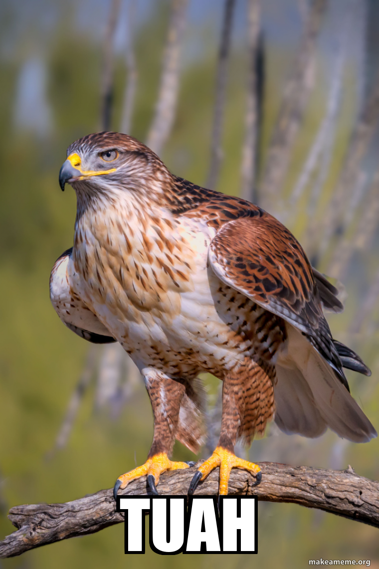 Tuah Meme Generator