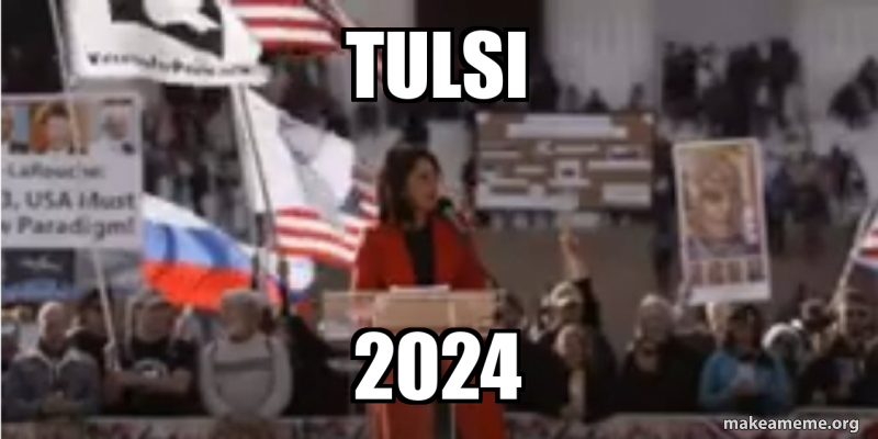 tulsi 2024 Meme Generator