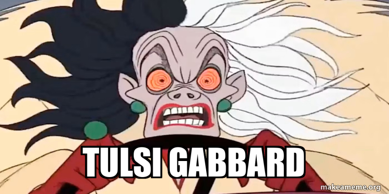 TULSI GABBARD Meme Generator
