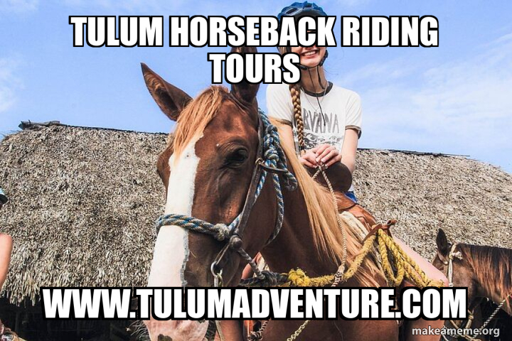 Tulum Horseback Riding Tours www.tulumadventure.com Meme Generator