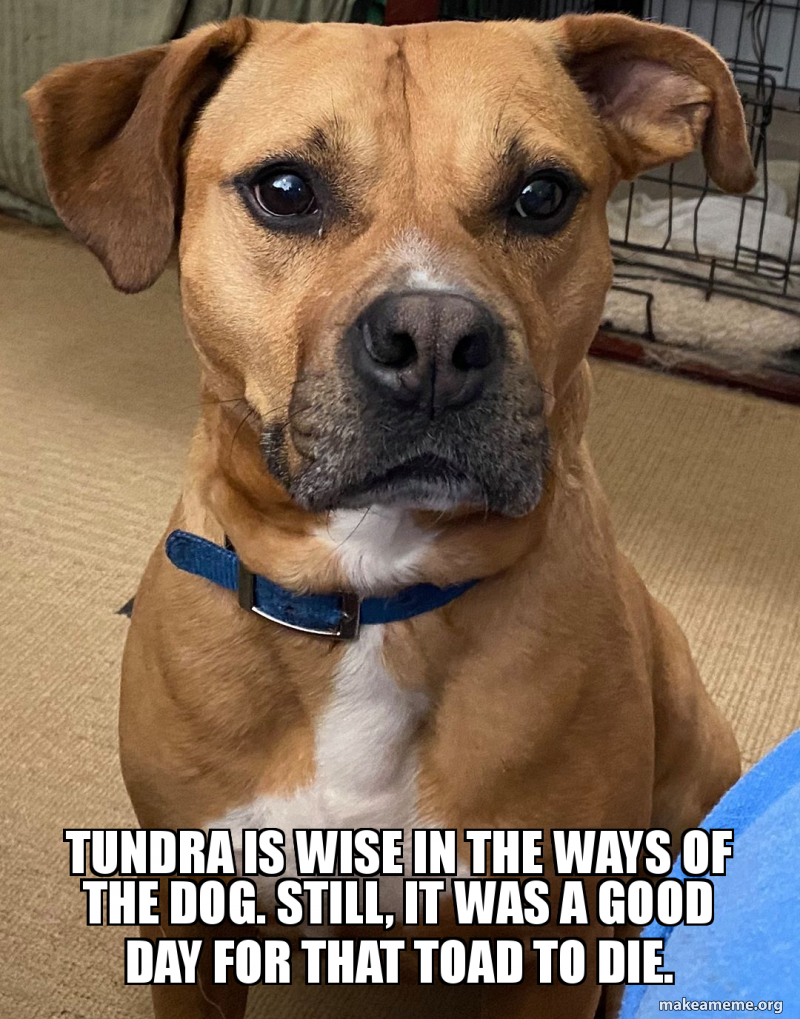 Tundra is wise in the ways of the Dog. Still, it was a good day for ...