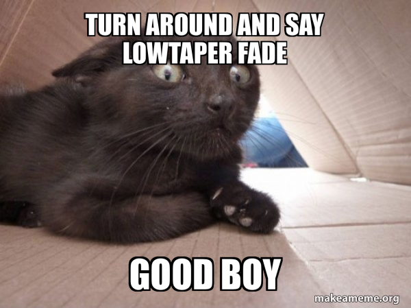 turn around and say LOWTAPER FADE good BOY - Schitzo Cat Meme Generator