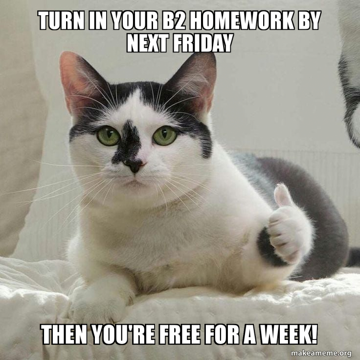 turn in your b2 homework by next friday then you're free for a week ...
