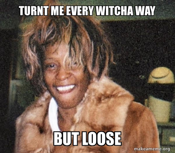 turnt me every witcha way BUT LOOSE Meme Generator