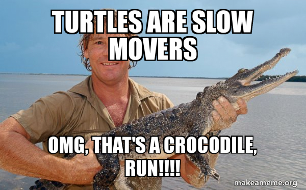 Turtle Crocodile Memes Mini Funny Positive Turtle Gifts, Small