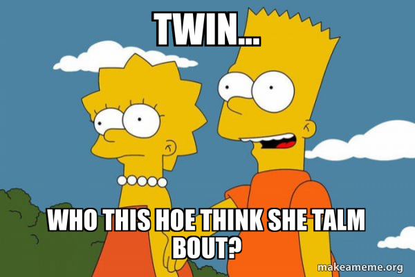 twin... who this hoe think she talm bout? - Bart and Lisa Chat Meme ...