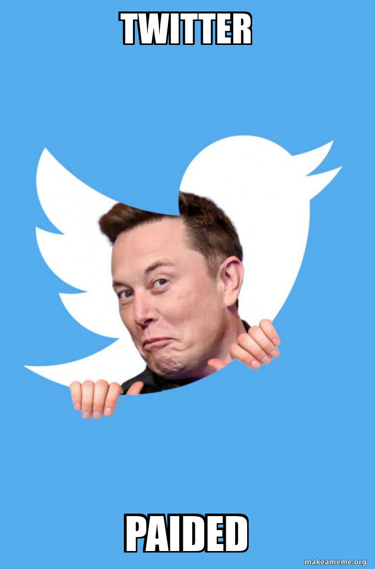 twitter paided - Elon Musk Twitter Meme Generator