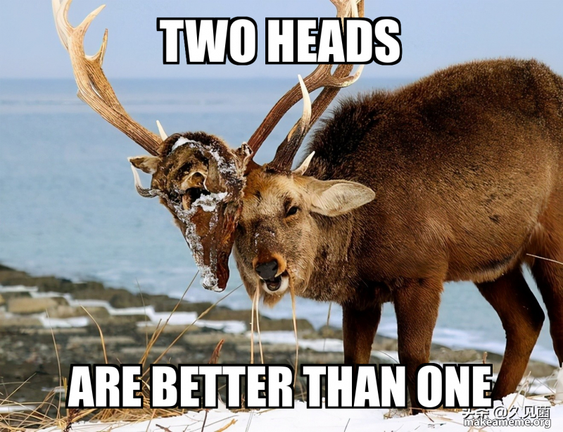Two heads Are better than one Meme Generator