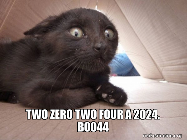 two zero two four A 2024. b0044 - Schitzo Cat Meme Generator