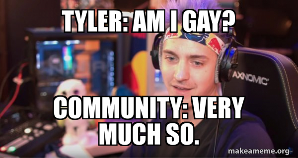 Tyler: Am i gay? Community: very much so. - Ninja Tyler Blevins Meme ...