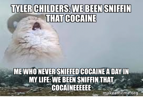Tyler Childers: We been sniffin that cocaine me who never sniffed ...