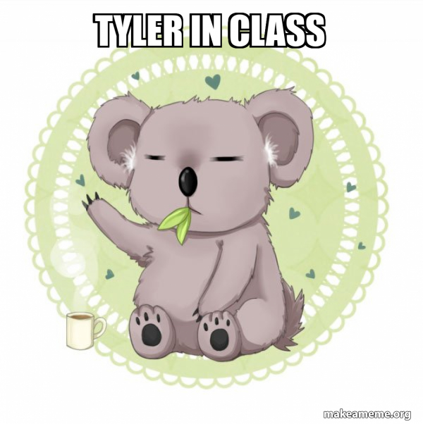 tyler in class - Aussie Koala doing the night shift Meme Generator