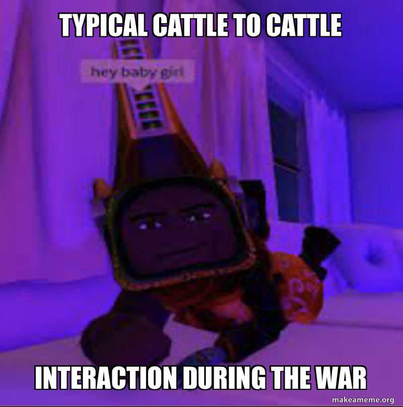 typical cattle to cattle INTERACTION DURING THE WAR Meme Generator
