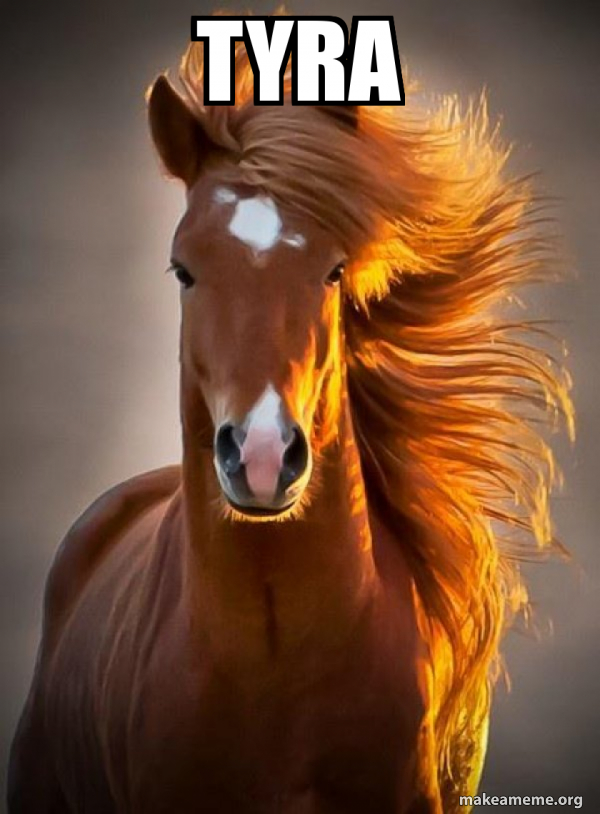 Tyra - Ridiculously photogenic horse Meme Generator