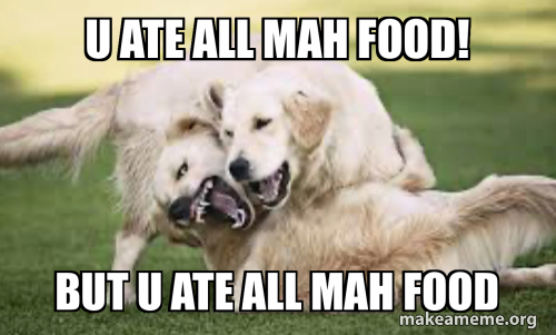 U ate all mah food! But u ate all mah food Meme Generator