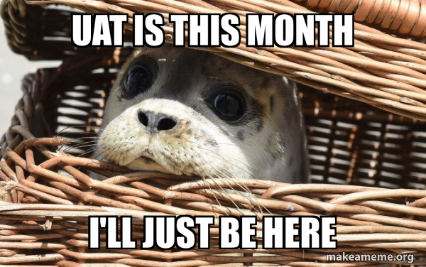 UAT is this month I'll just be here - Impending Doom Seal Meme Generator