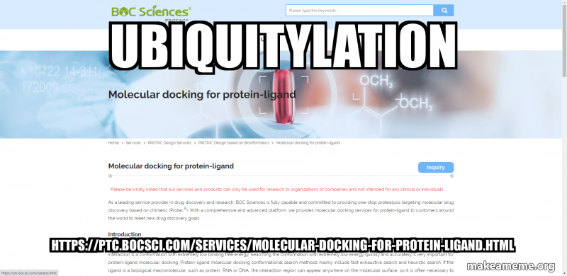 ubiquitylation https://ptc.bocsci.com/services/molecular-docking-for ...
