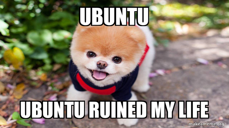 UBUNTU UBUNTU RUINED MY LIFE Meme Generator