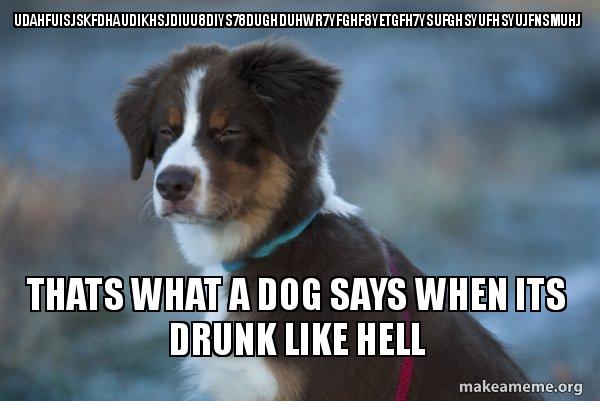 Drunk Dog Meme