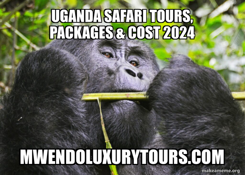 Uganda Safari Tours, Packages & Cost 2024 mwendoluxurytours.com Meme ...