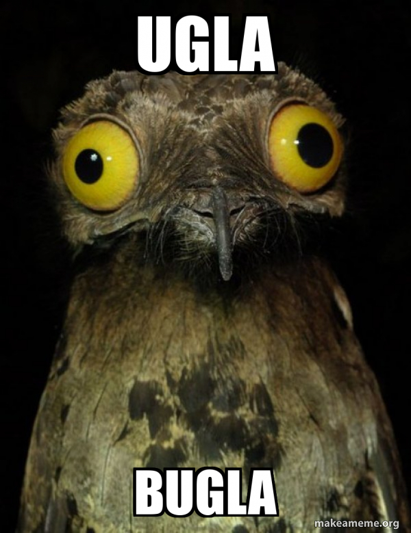 ugla bugla - Weird Stuff I do Potoo Meme Generator